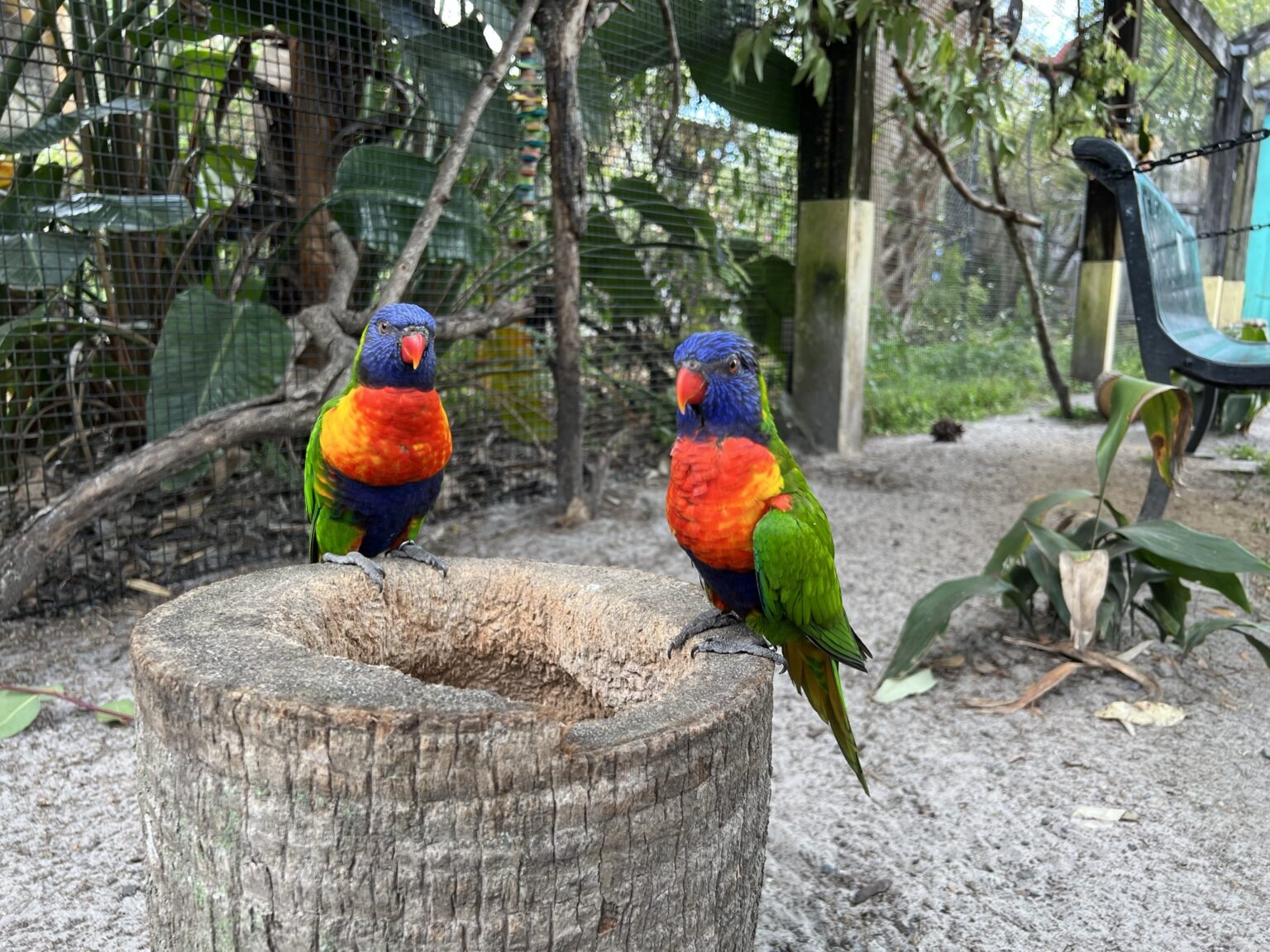 Florida Scenery Makes Great Background Images | The Modern Virginian